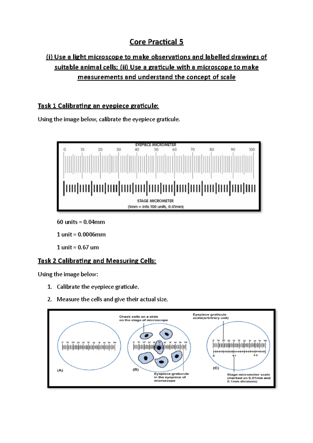 CP05 - Core practical 5 material - Core Prac)cal 5 (i) Use a light microscope to make observa ...
