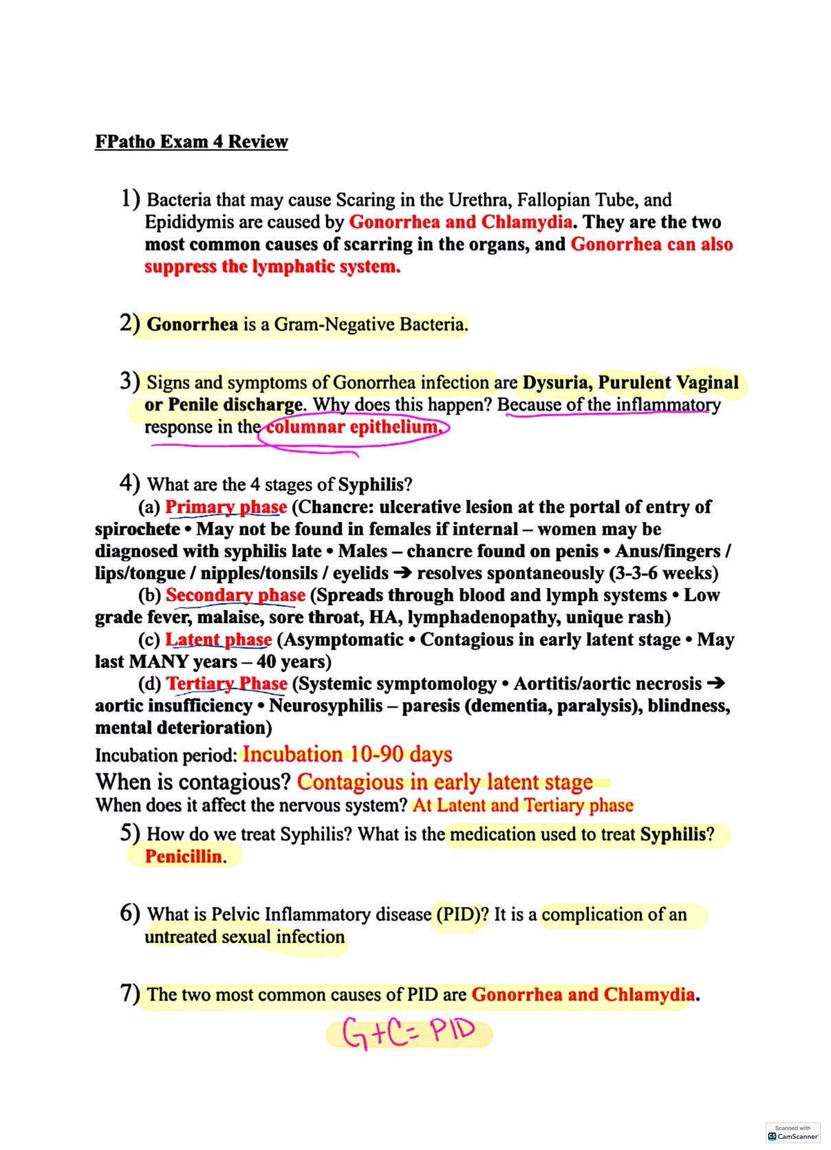 Patho 4 Exam Review: Key Concepts on STIs and Reproductive Health - Studocu