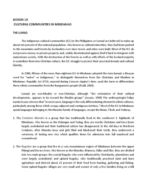 Lesson 11 Local History - LESSON 11 LOCAL HISTORY WHAT IS LOCAL HISTORY ...