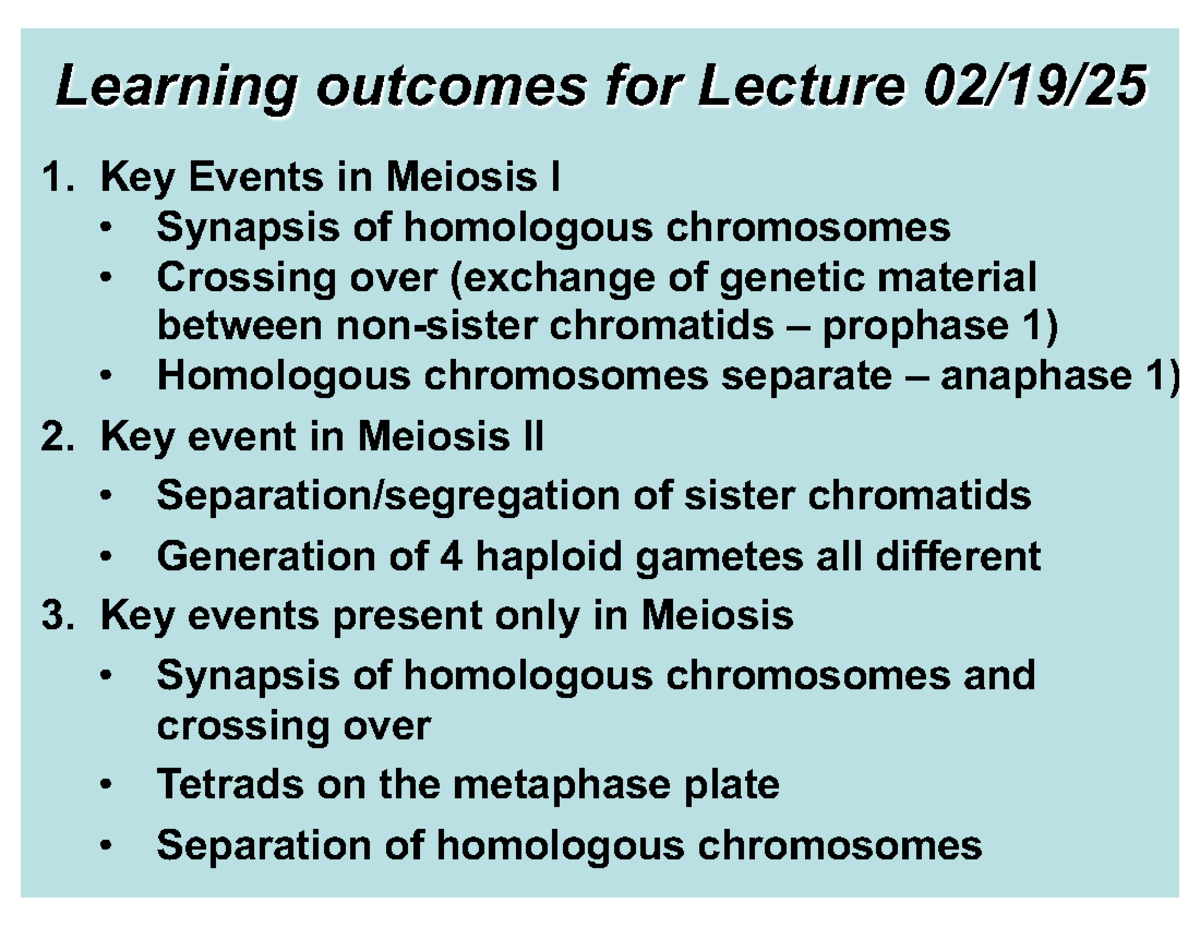 Comprehensive Study Notes for Course XYZ: Final Exam Prep - ####### 1 ...