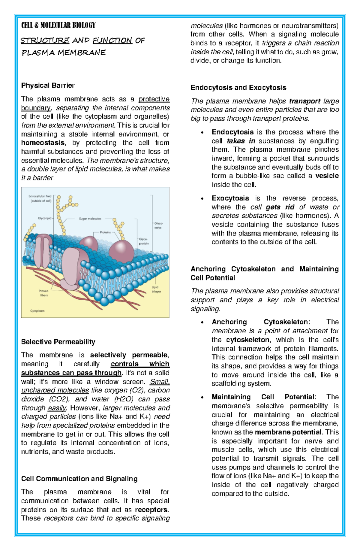 CELL 101: STRUCTURE & FUNCTION OF PLASMA MEMBRANE - Studocu