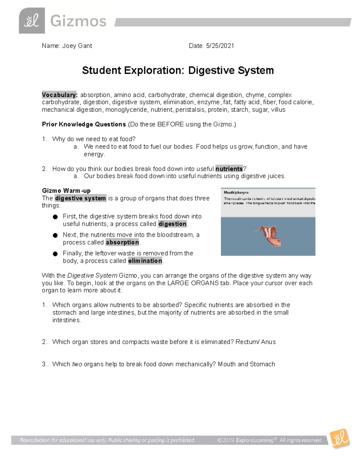 Digestive System Gizmo - Name: Joey Gant Date: 5/25/ Student ...