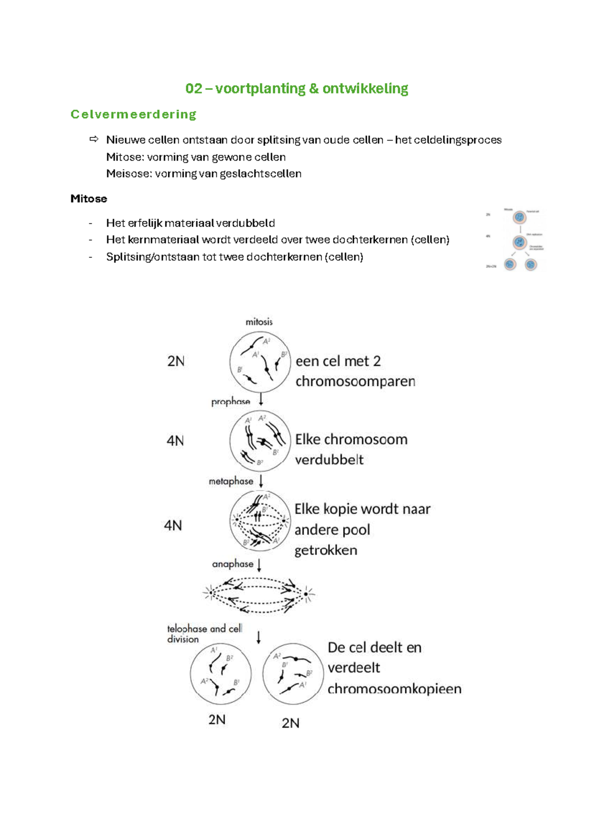 02 Celdeling, Voortplanting & Ontwikkeling: Mitose en Meiose - Studocu