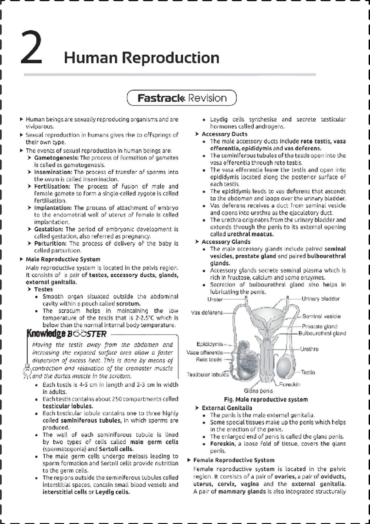 Human Reproduction Revision Notes (Course Code: 2) - Studocu