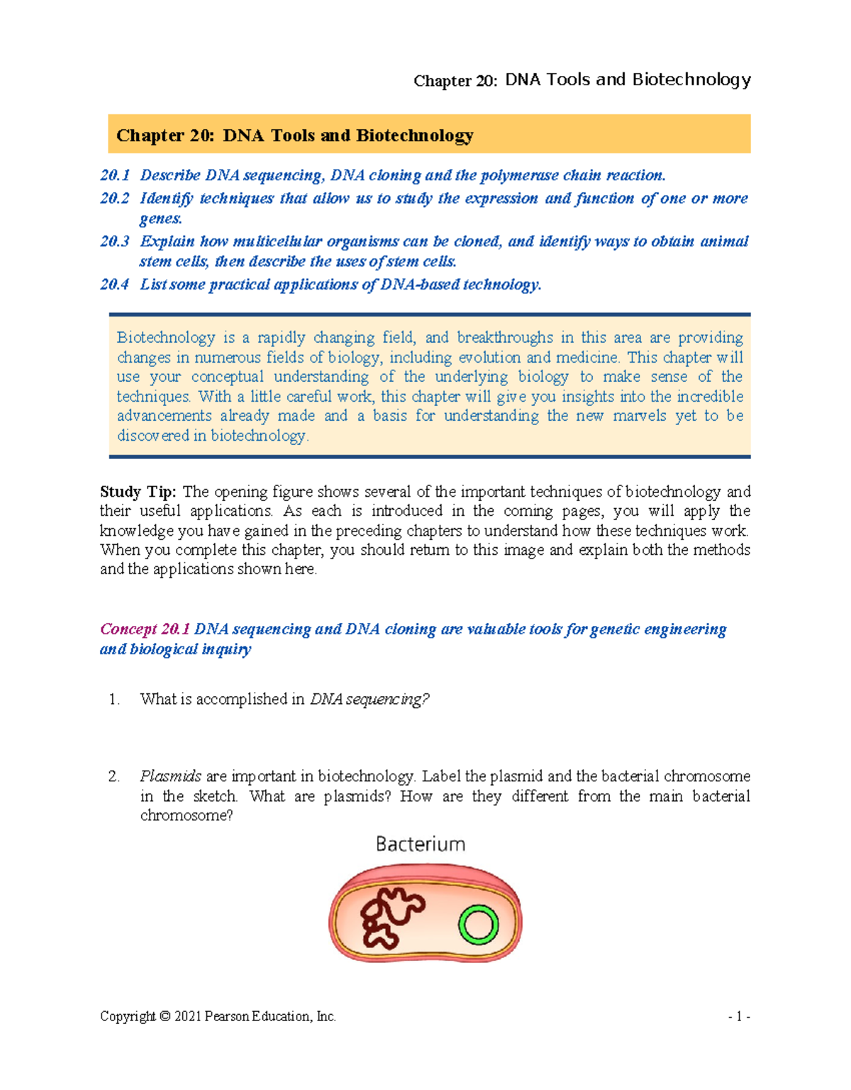 Ch 20 Guided Reading: DNA Tools & Biotechnology Insights - Studocu