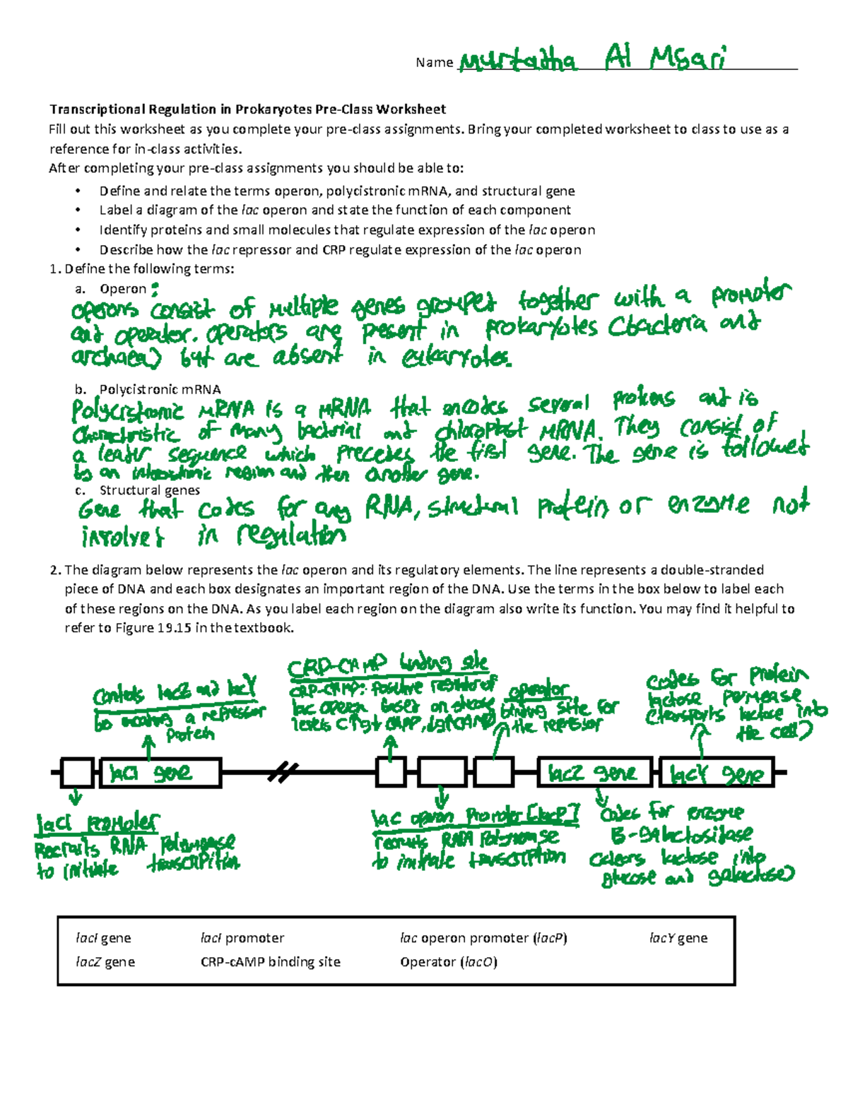 Prokaryotic Gene Expression: Week 7a Reading Guide & Worksheet - Studocu
