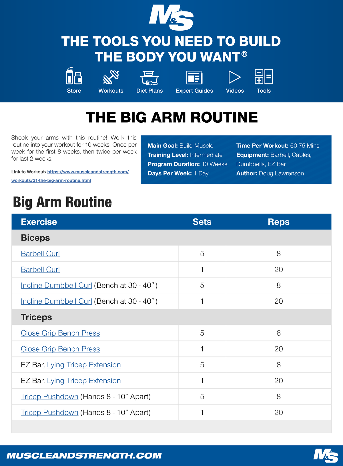 Big Arm Routine: 10-Week Muscle Building Plan - Studocu