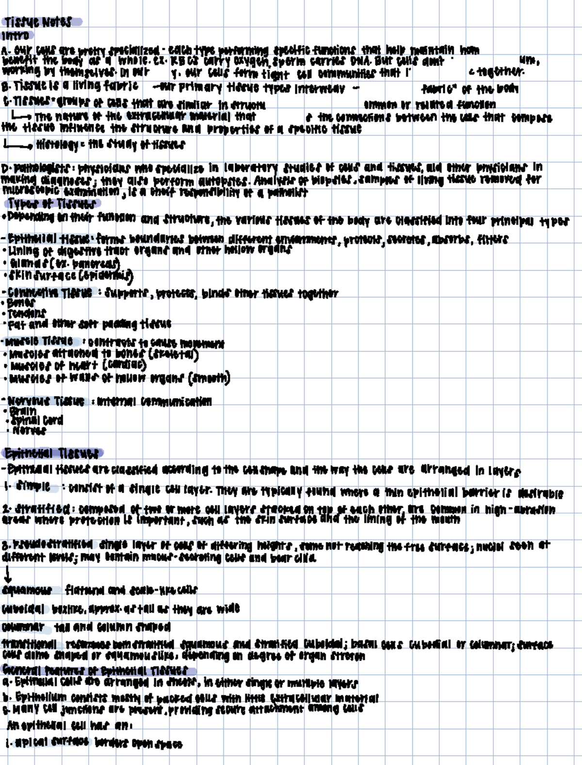 Final Exam Study Guide for ABC123: Tissue Types and Functions - Studocu