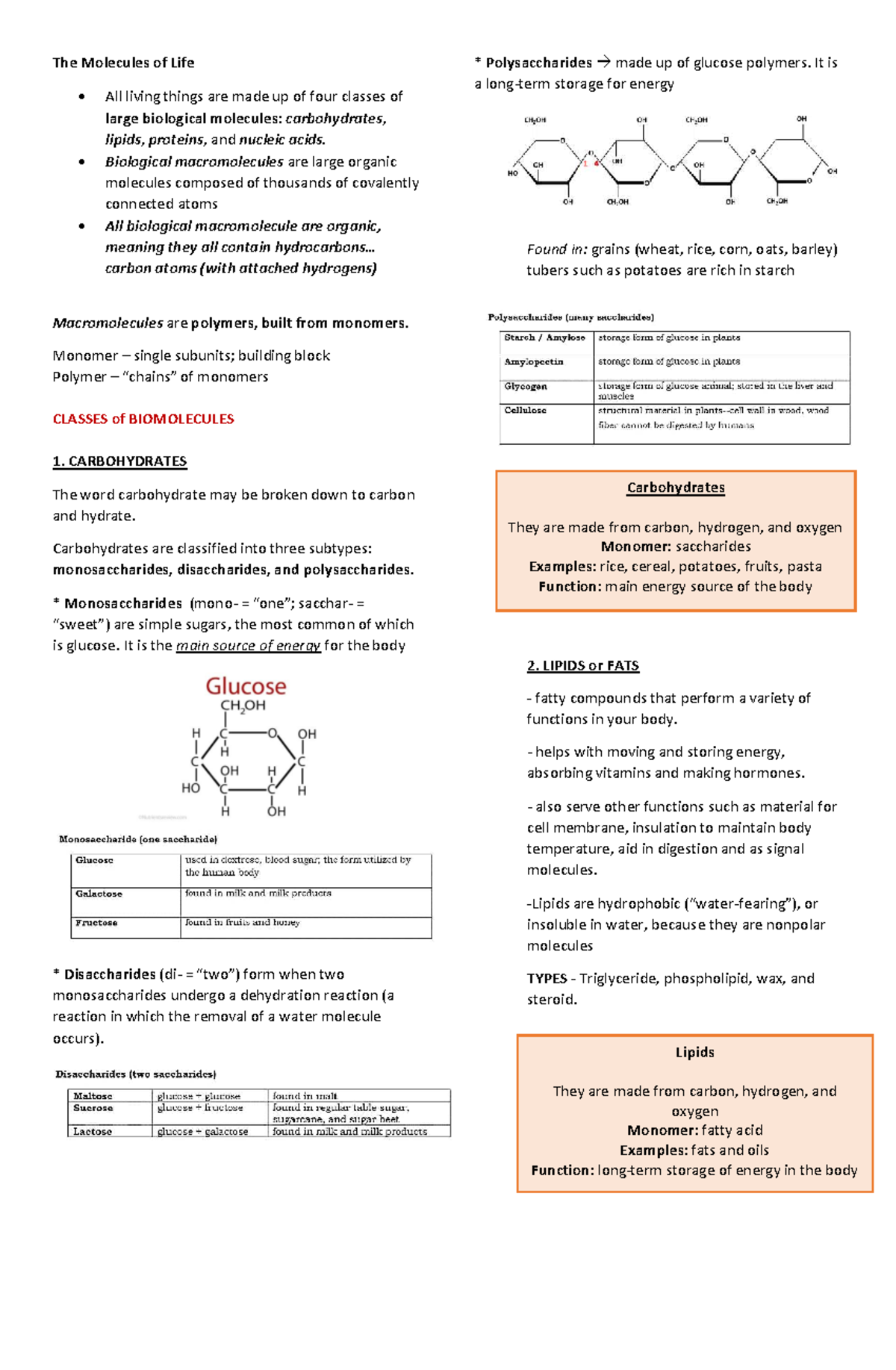Biological Macromolecules: Carbs, Lipids, Proteins, Nucleic Acids - Studocu