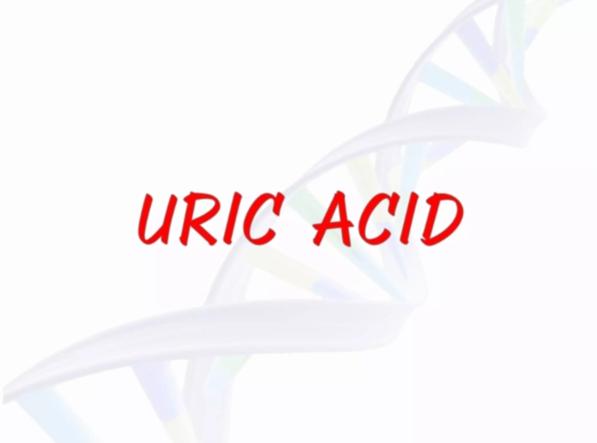 Metabolism of Nucleic Acids: Uric Acid and Gout Overview (Lec) - Studocu