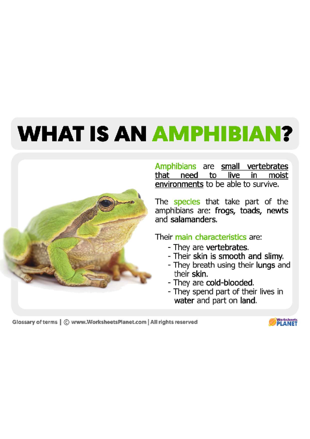 Grade 5 Science: Exploring Amphibians and Reptiles Characteristics ...