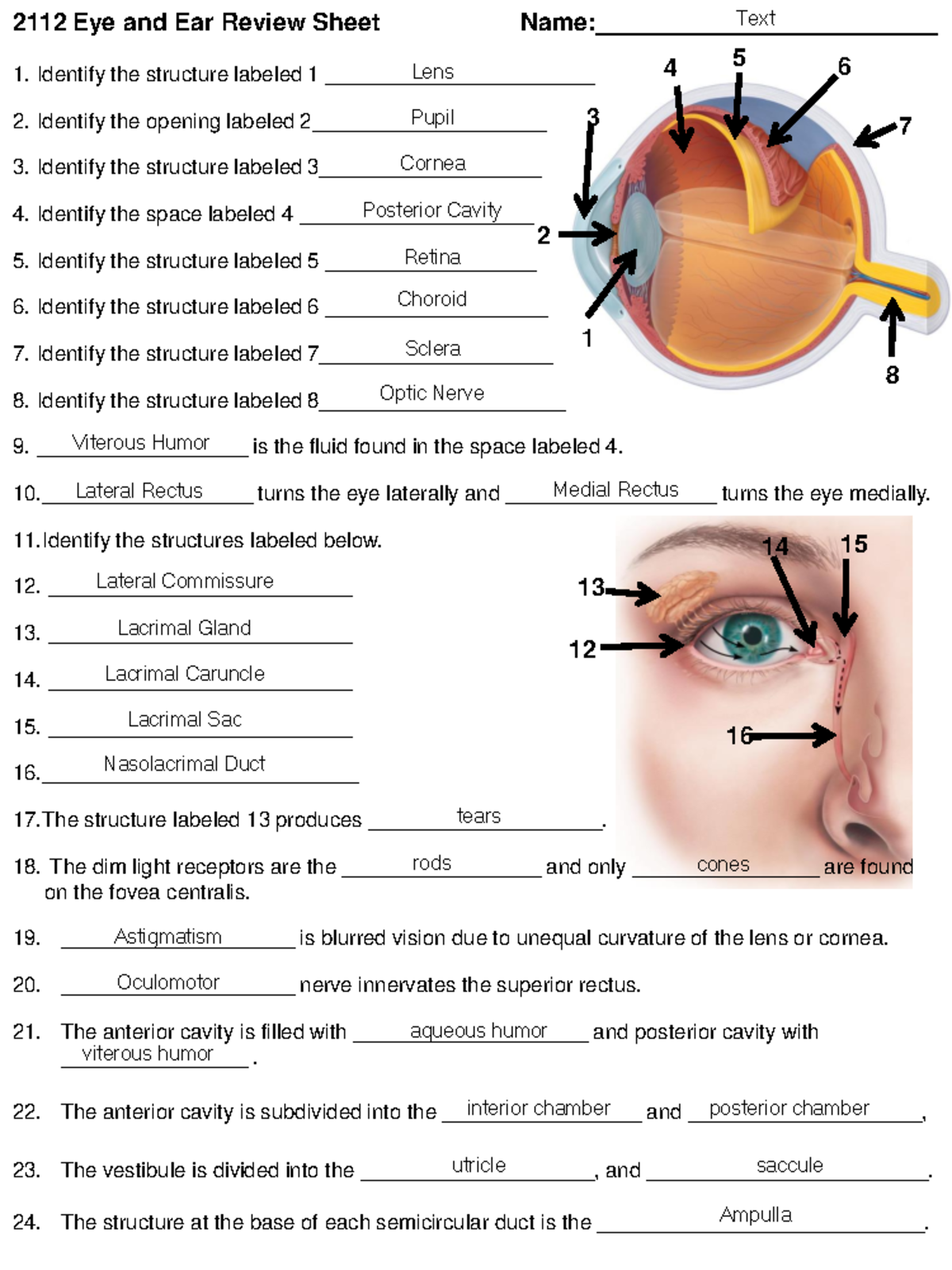 2112 Eye and Ear Final Exam Review Worksheet - Studocu