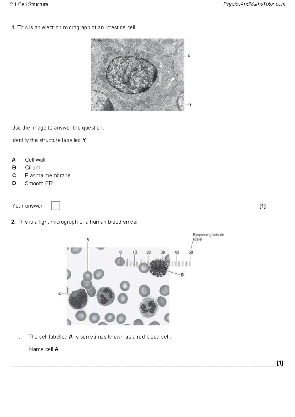 2.1 Cell Structure Quiz Paper - Detailed Analysis and Questions - Studocu