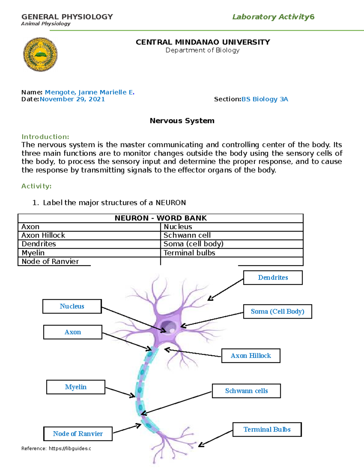 Nervous System Lab Activity: Understanding Neurons & Neuroglial Cells ...