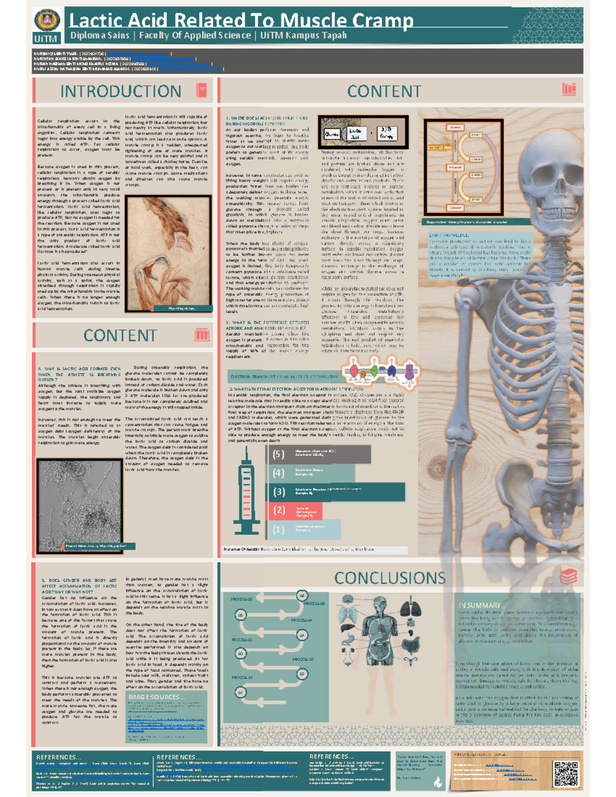 UiTM Lactic Acid and Muscle Cramps: Understanding Anaerobic Respiration ...