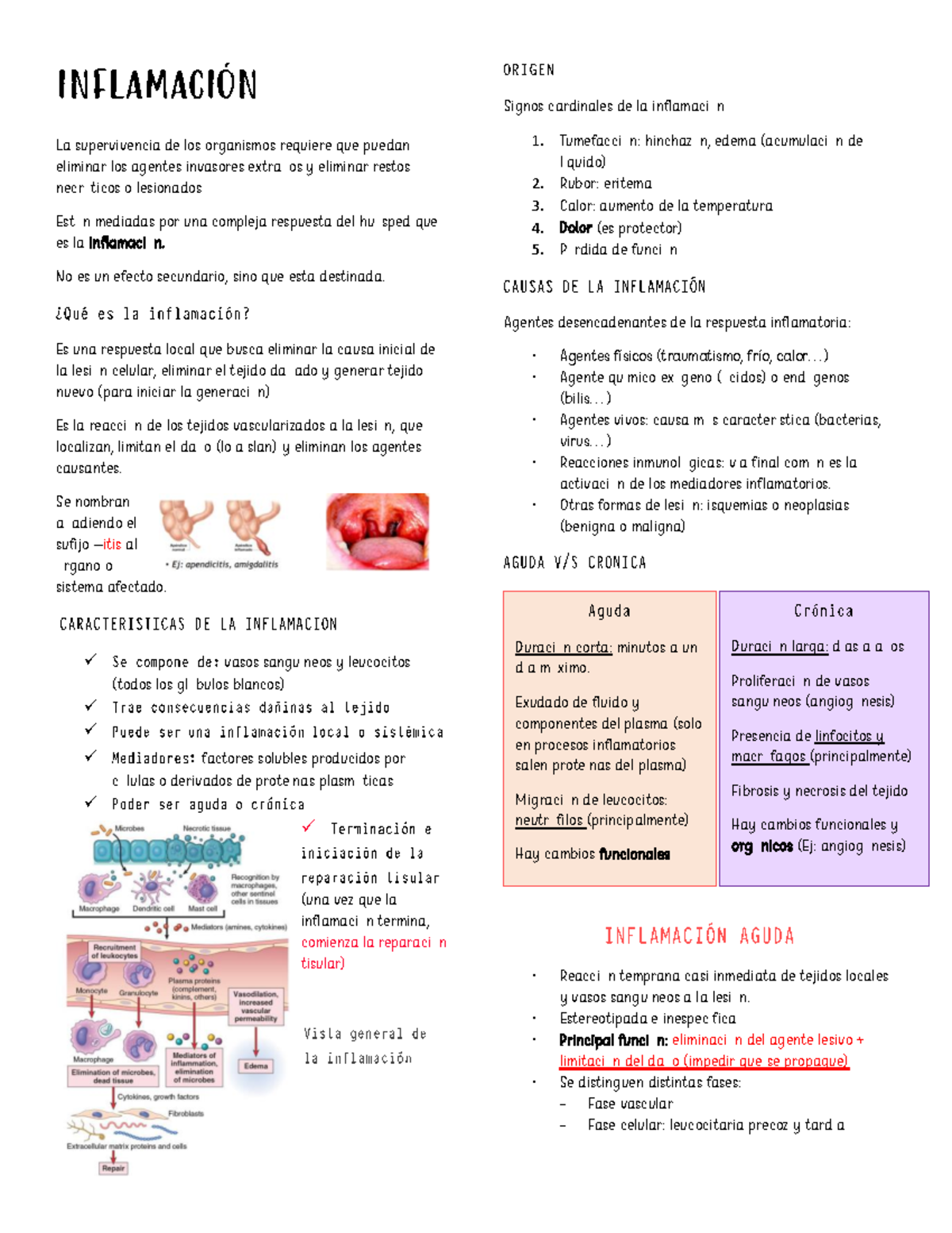 FISIOPATOLOGÍA DE LA INFLAMACIÓN: RESUMEN Y SIGNOS CARDINALES - Studocu