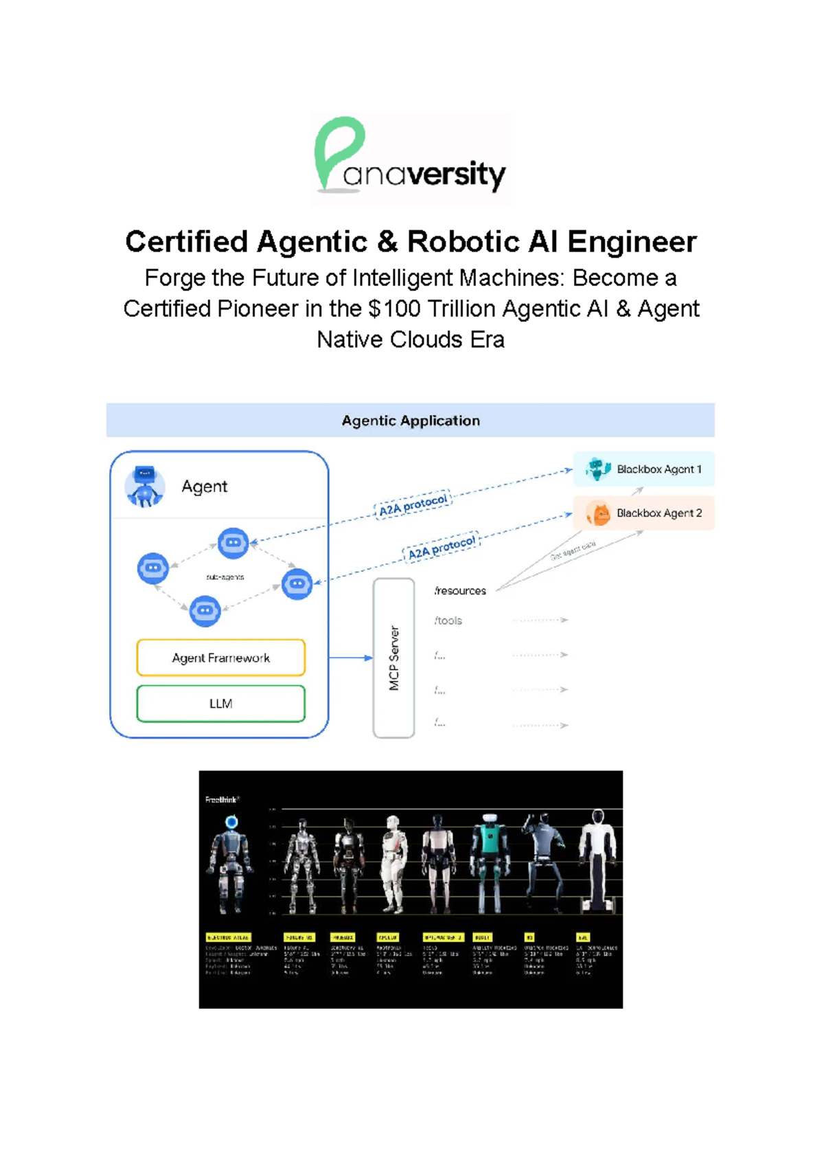 Certified Agentic & Robotic AI Engineer: Pioneering the Future of AI ...