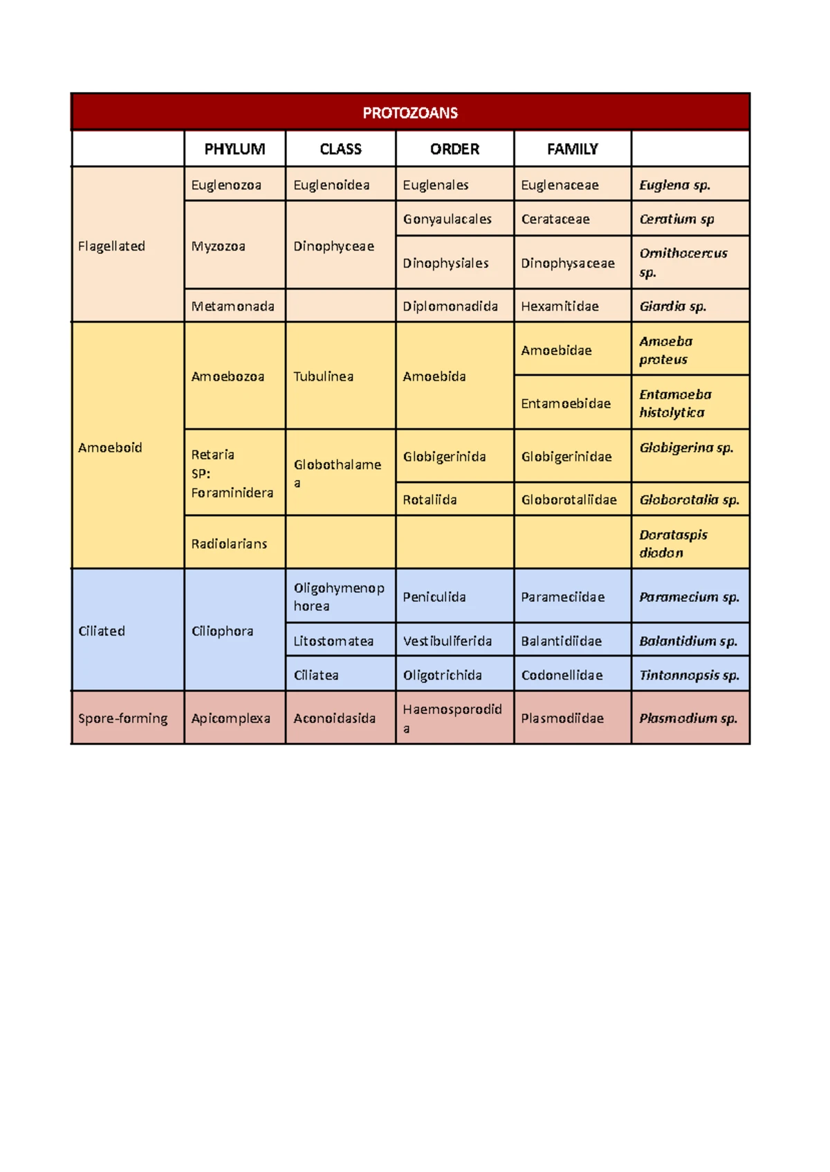 BIOL 1 08 L: Visual Guide to Frog Development Stages and Anatomy - Studocu