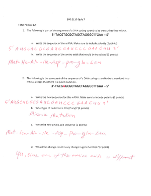 Genetic Inheritance Patterns: A Comprehensive Guide (BIO 101 ...