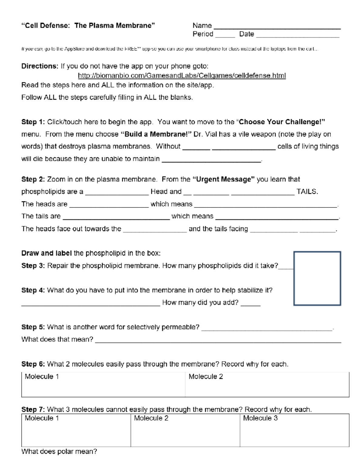 Cell Membrane Worksheet: Structure & Function (Bio 101) - Studocu
