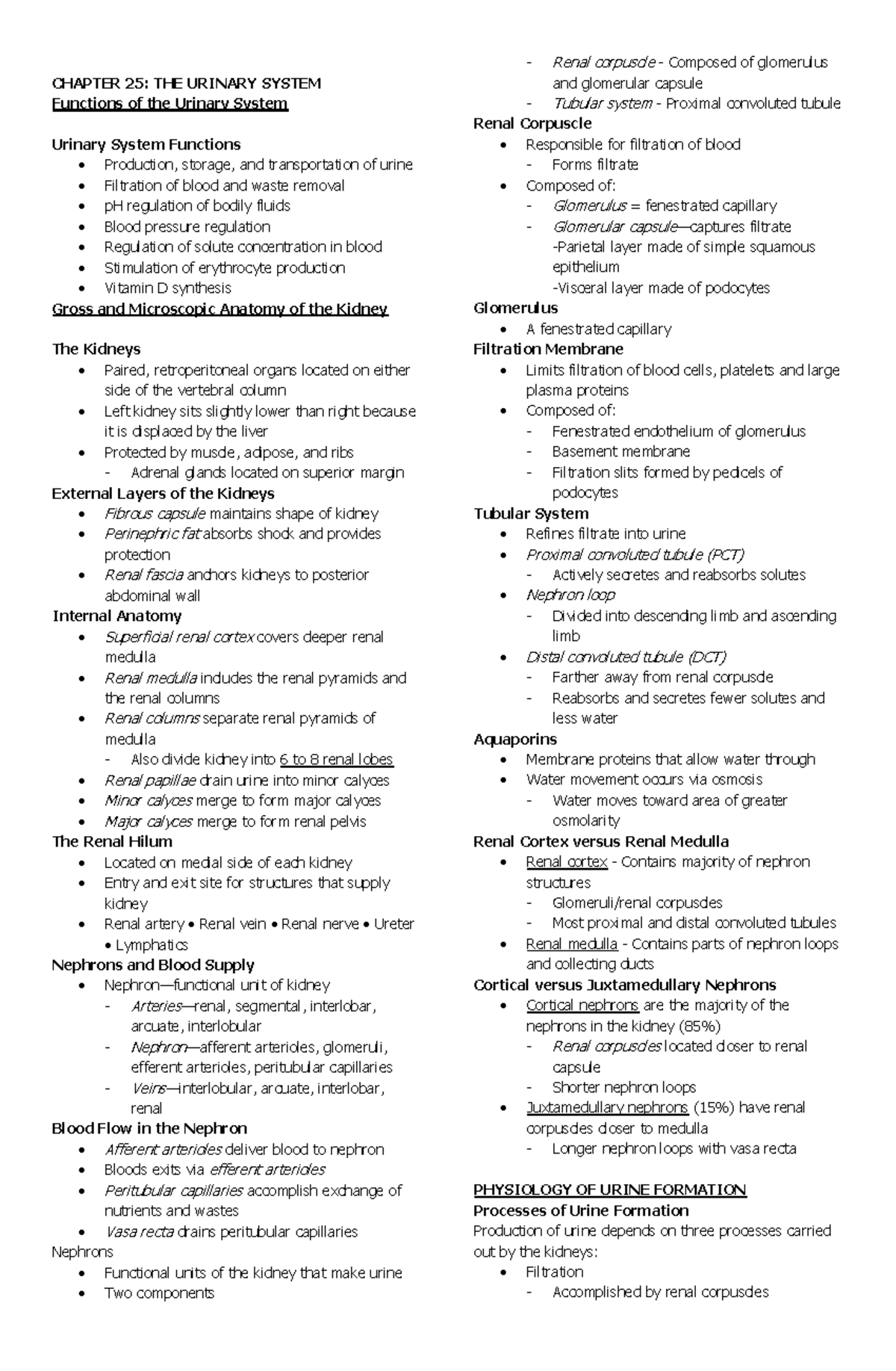 CHAPTER 25: THE URINARY SYSTEM - Functions and Anatomy Overview - Studocu