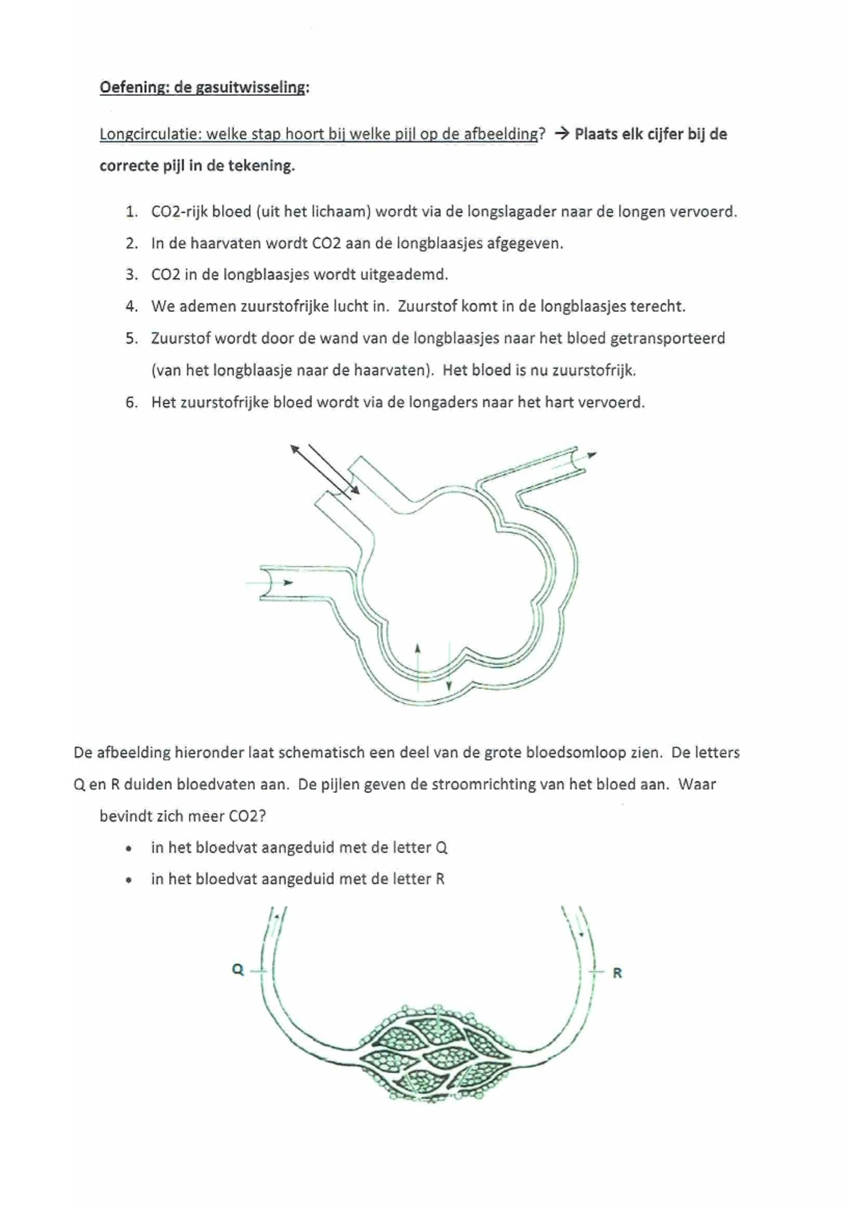 Medicaite pleister plakken - HUIDPLEISTERS Robiël Shimangus, Tom ...