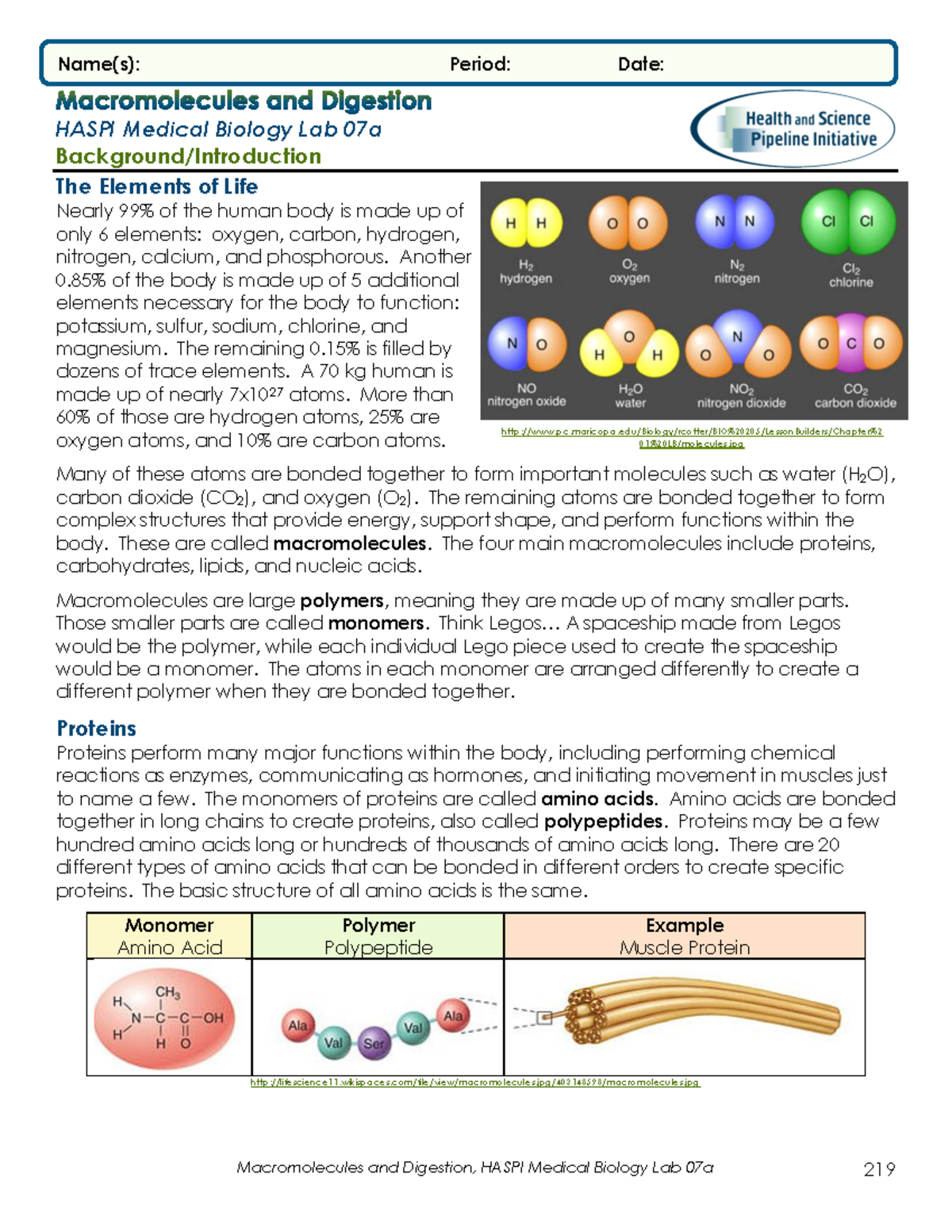 HASPI Medical Biology Lab 07a: Exploring Macromolecules and Enzymes ...