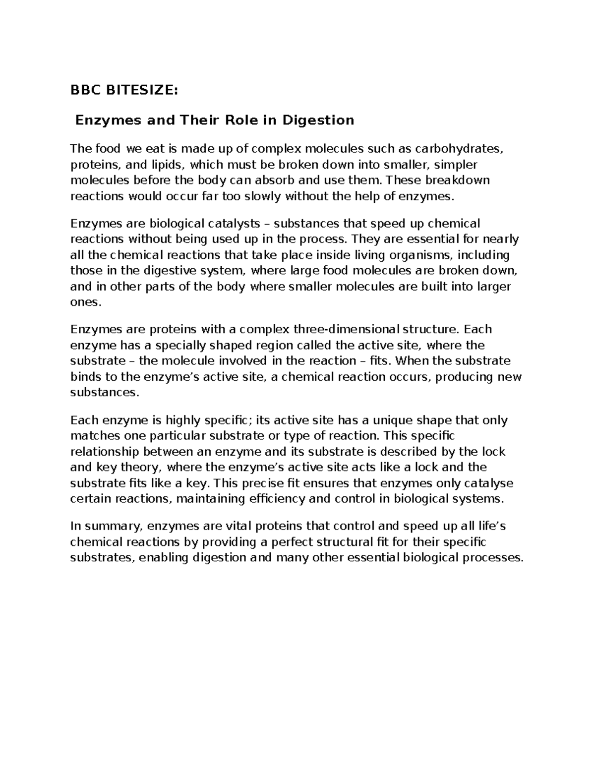 BBC BITESIZE: Enzymes & DNA Replication Overview - Studocu