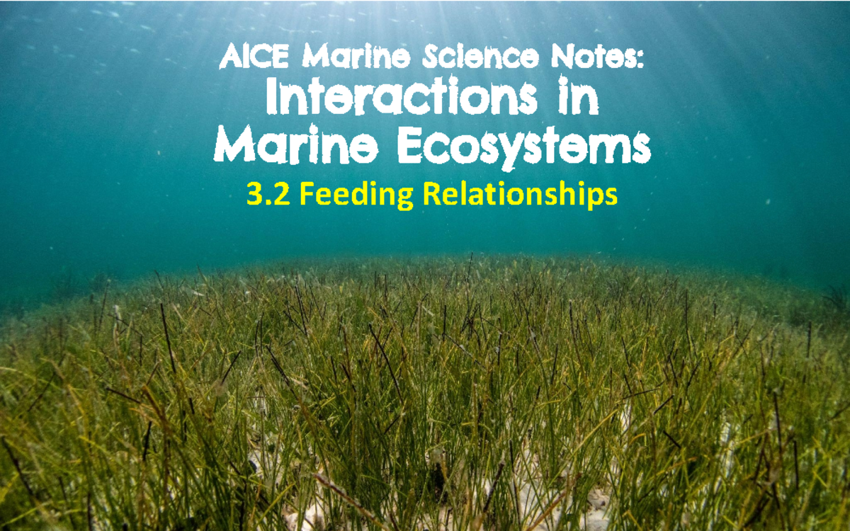 AICE Marine Science Notes: 3.2 Feeding Relationships in Ecosystems ...
