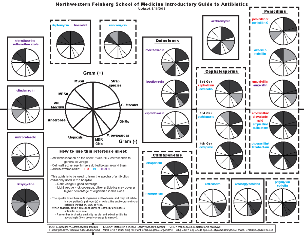 Northwestern Feinberg School of Medicine: Intro to Antibiotics Guide ...