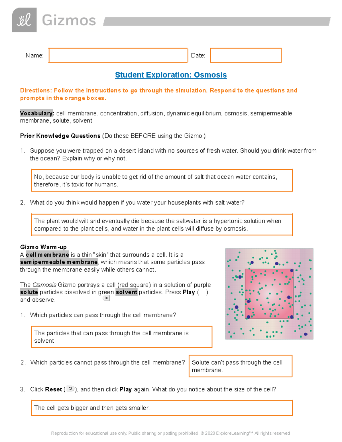 Exploration of Osmosis: Student Activities & Gizmo Simulation Guide ...