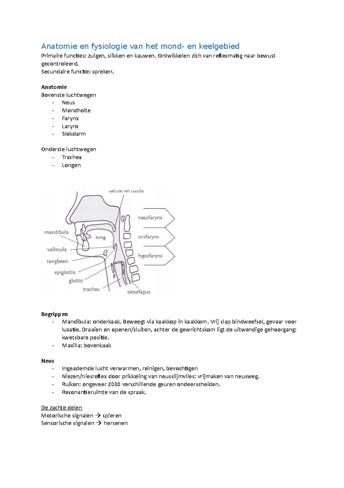 HC 1 Anatomie en Fysiologie van het Mond- en Keelgebied - Studeersnel