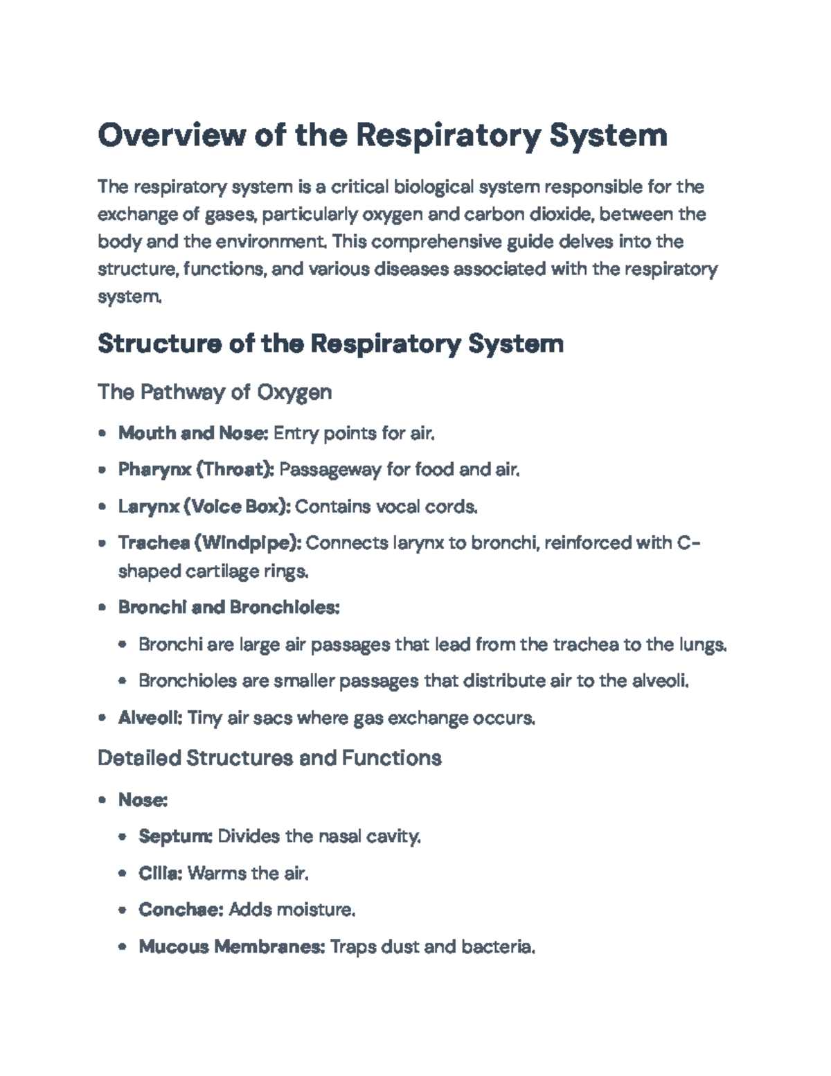 Respiratory System Overview: Structure, Functions, and Diseases - Overview of the Respiratory ...