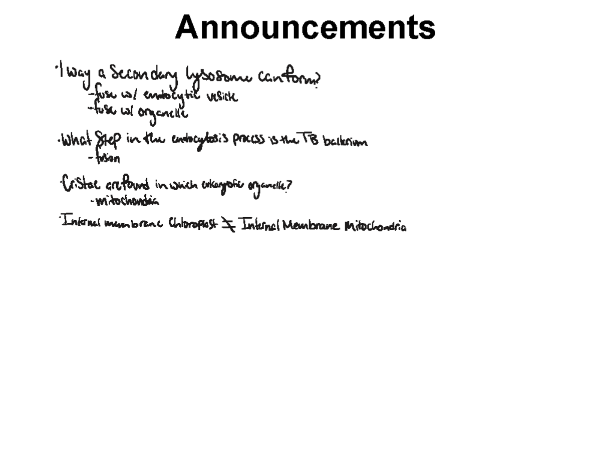 Plasma Membrane Structure & Function: Insights from Gorter's Experiment ...