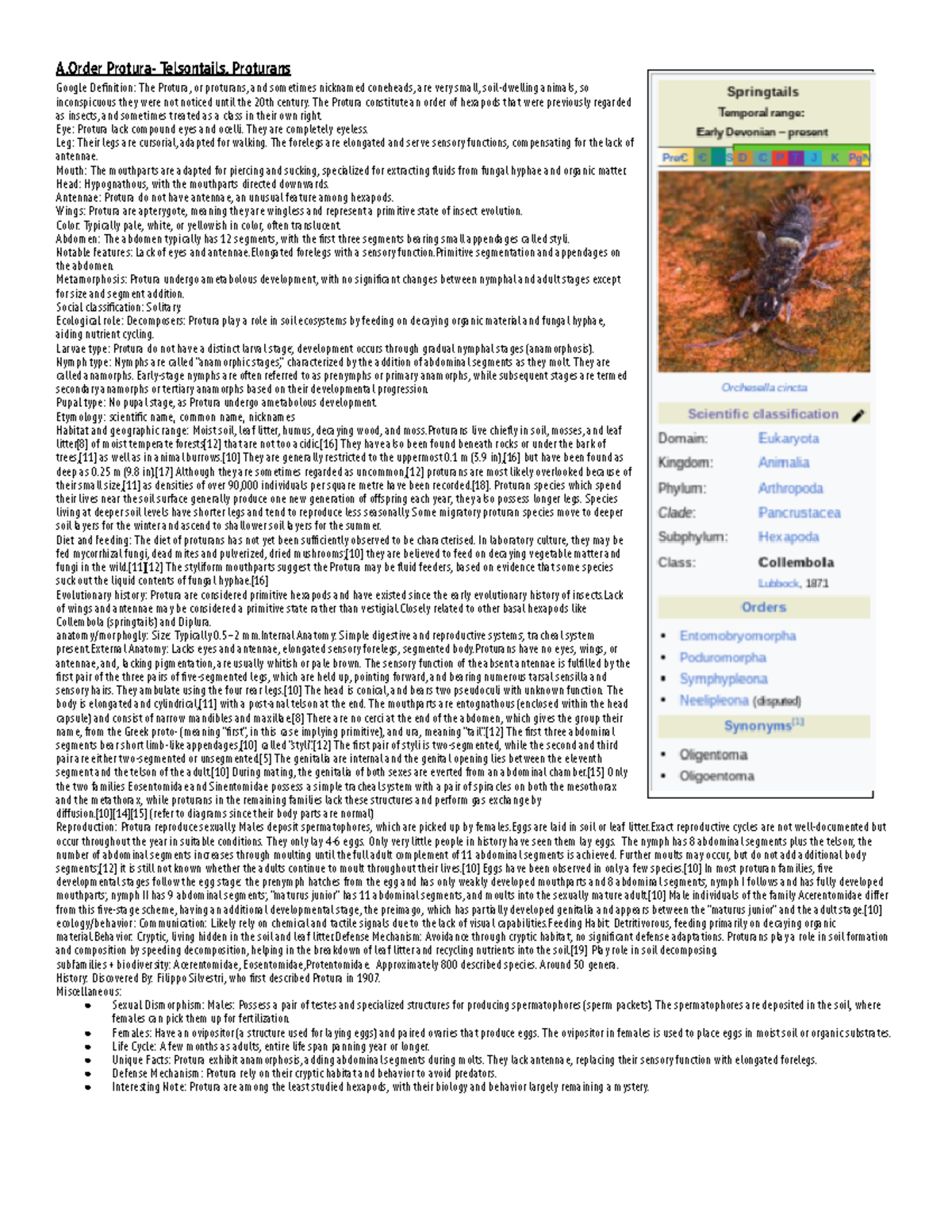 Entomology Lecture Notes: Protura - Telsontails Overview - Studocu