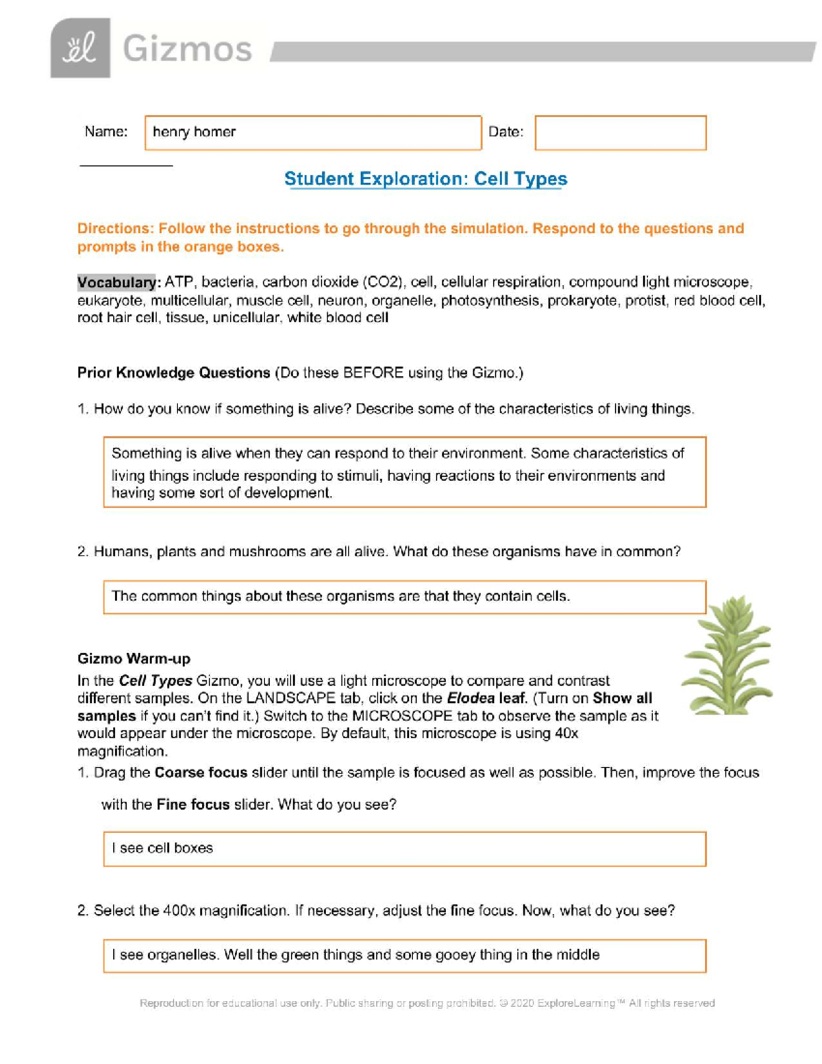Cell types exploration: Gizmo simulation and analysis - Studocu