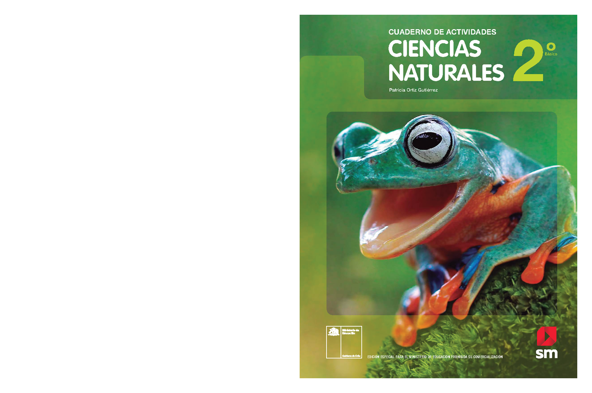 Actividades de Ciencias Naturales 2° Básico - U0_Nat_2B_Lic_Cua_Imp_B ...