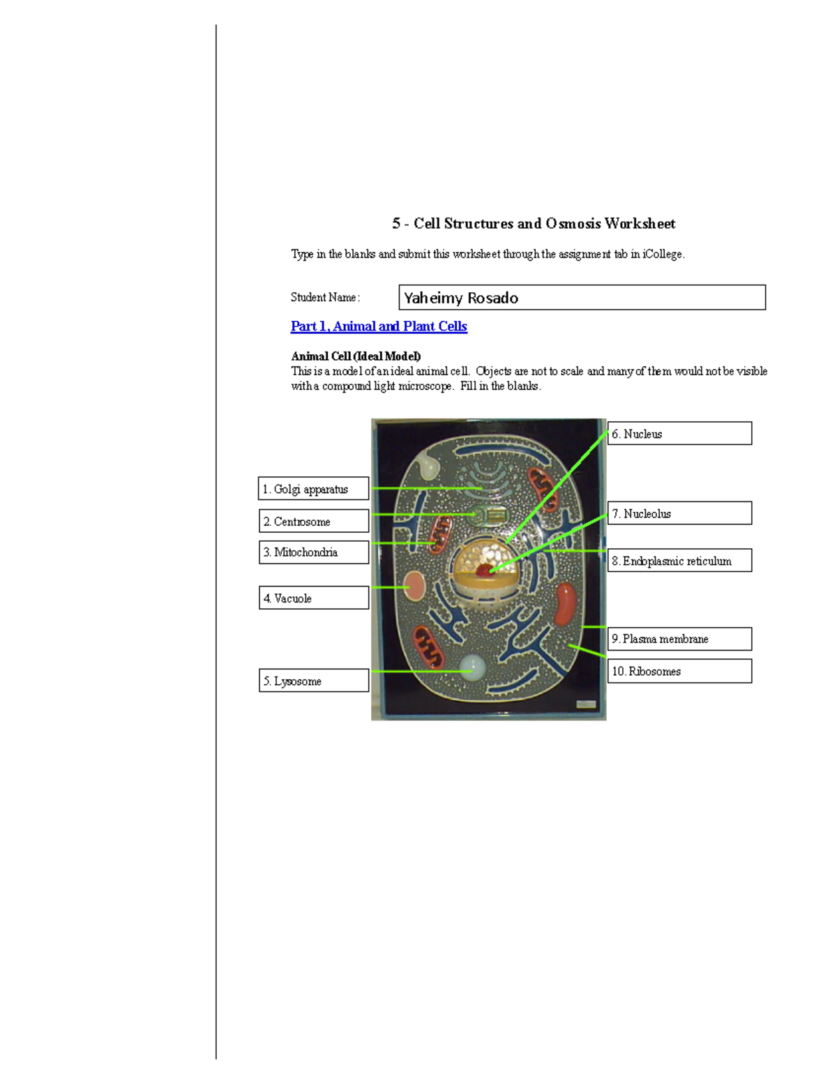 5-Cell Structure & Osmosis Worksheet-23: Fill-in-the-Blanks Activity ...