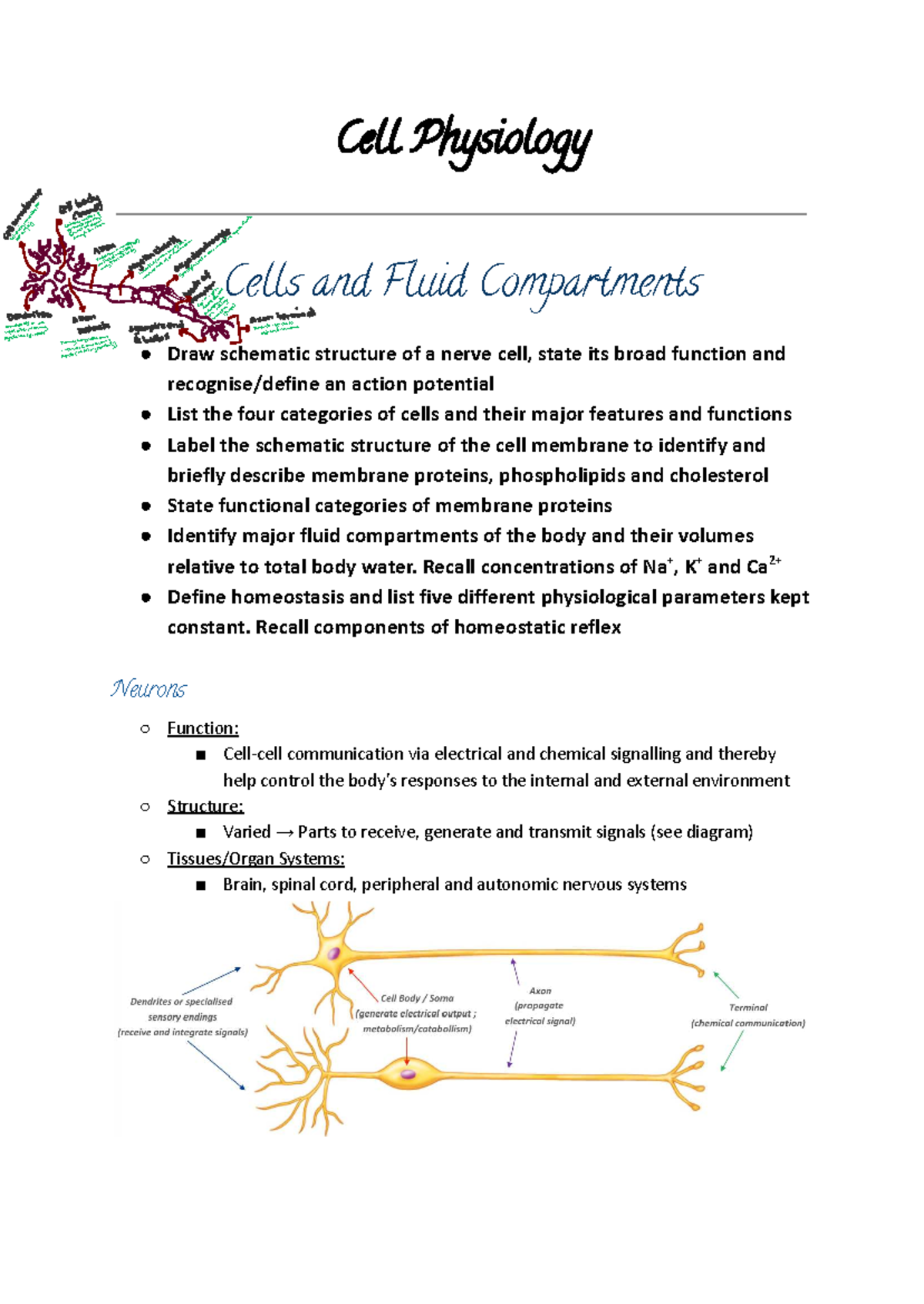 Physiology 1A: Cell Physiology, Membrane Transport, and Homeostasis ...
