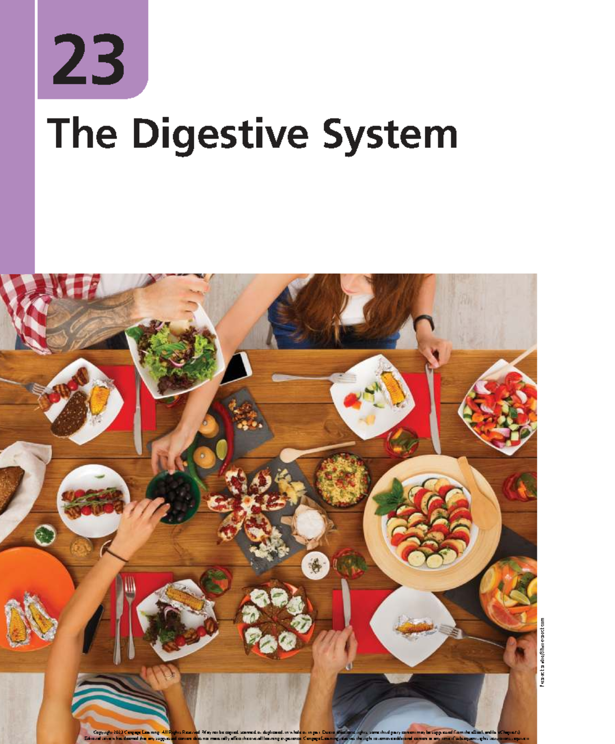 Digestive-System - Anatomy and Physiology on Digestive System - The ...
