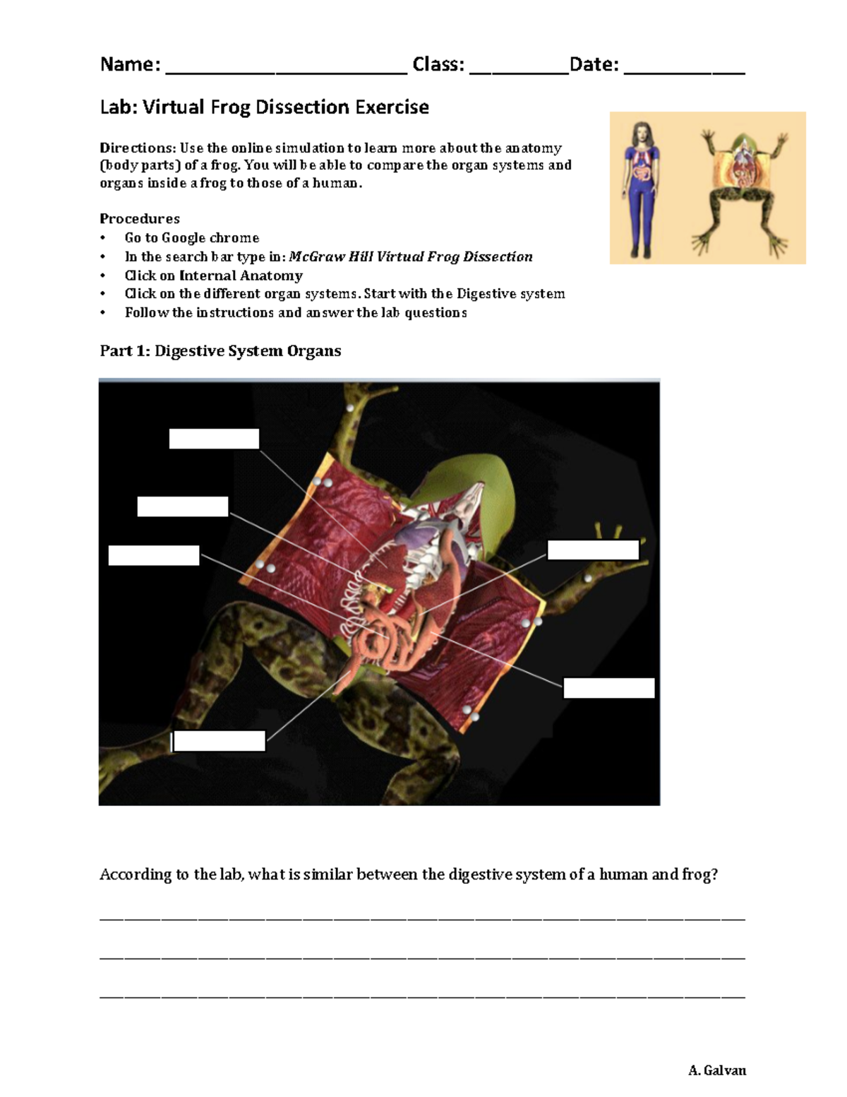 Lab Virtual Frog Dissection Exercise - A. Galvan Name ...