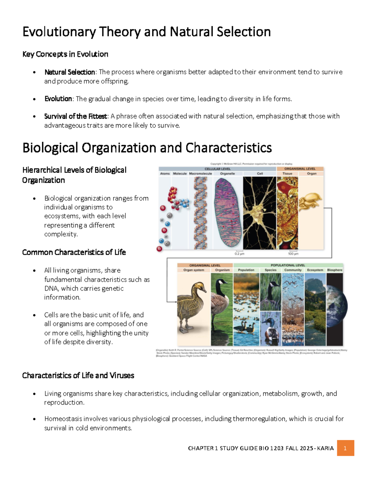Chapter 1 Study Guide: Evolutionary Theory & Natural Selection (BIO ...