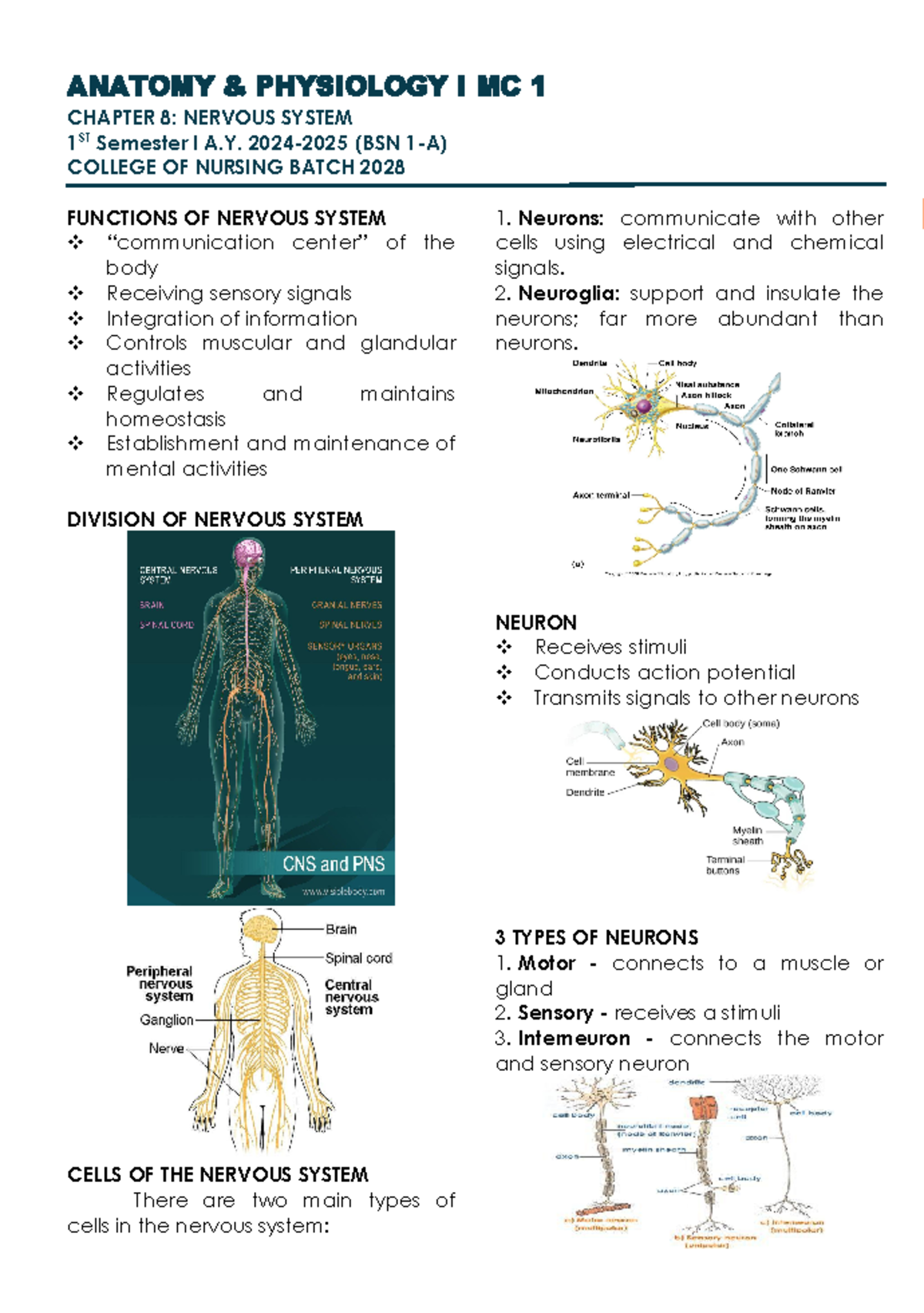 Chapter 8 - Nervous System - CHAPTER 8: NERVOUS SYSTEM 1 ST Semester l ...