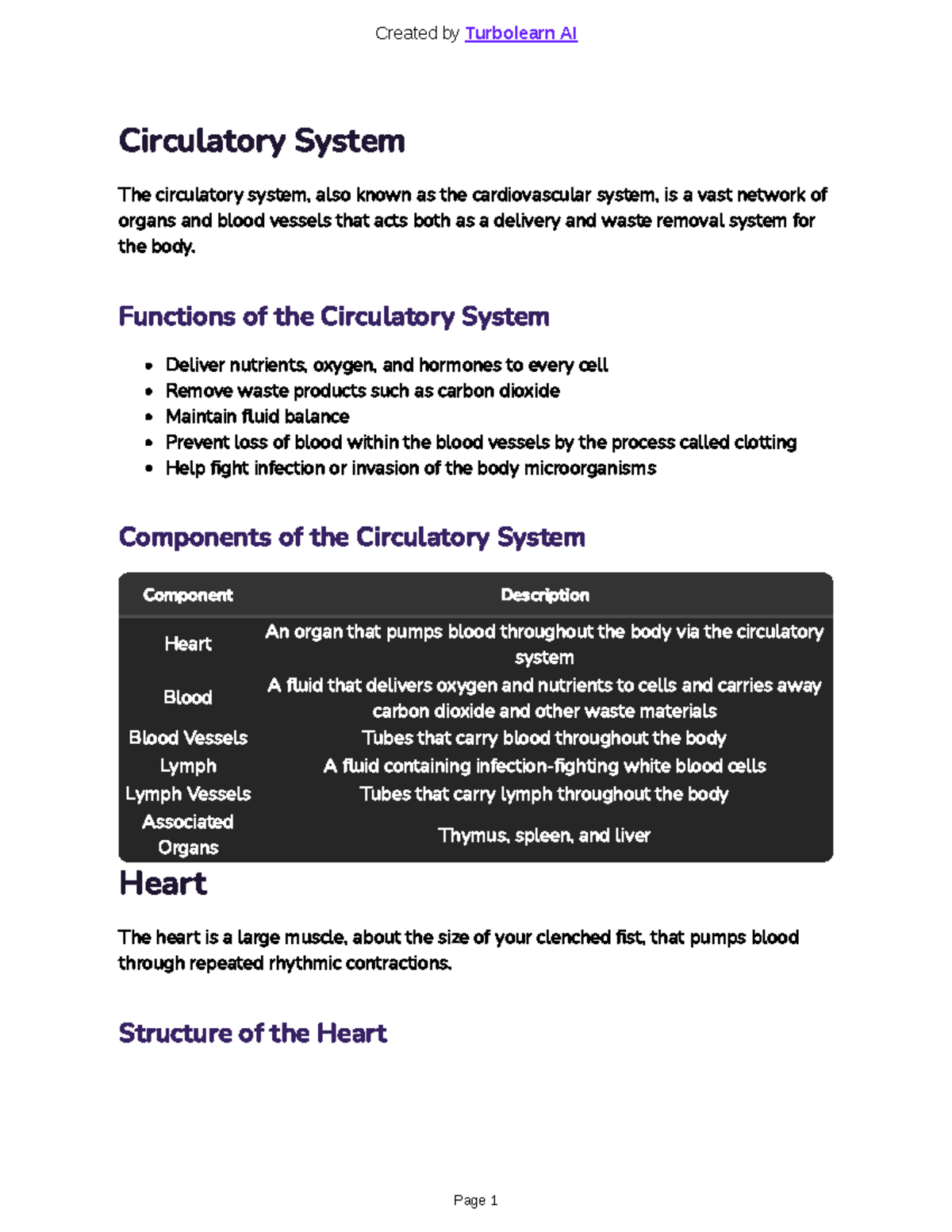 Circulatory System Overview: Functions, Components, and Aging Effects ...