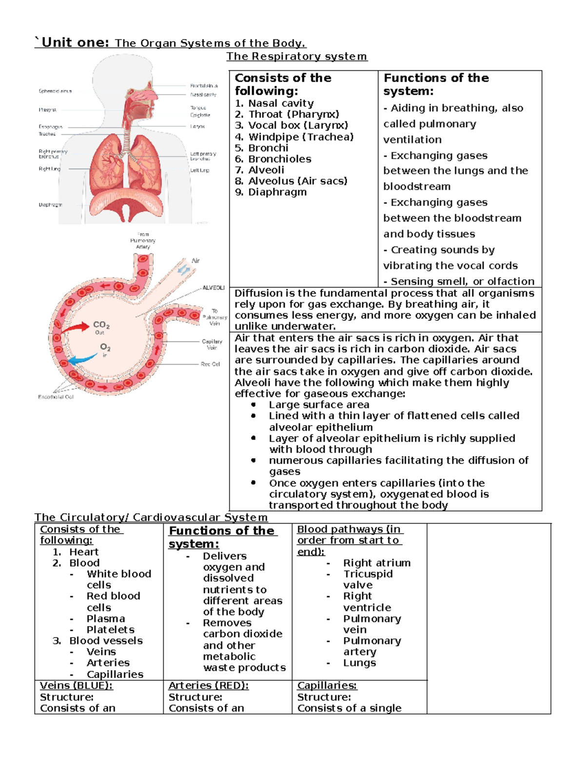 Unit 1 Revision: Organ Systems - Respiratory & Circulatory Systems ...