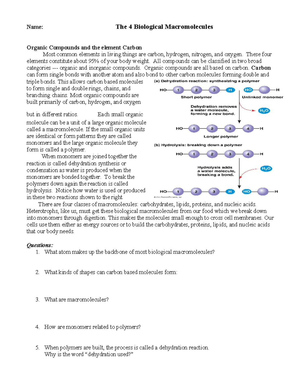 Biology 10: Macromolecules Overview and Study Questions - Studocu