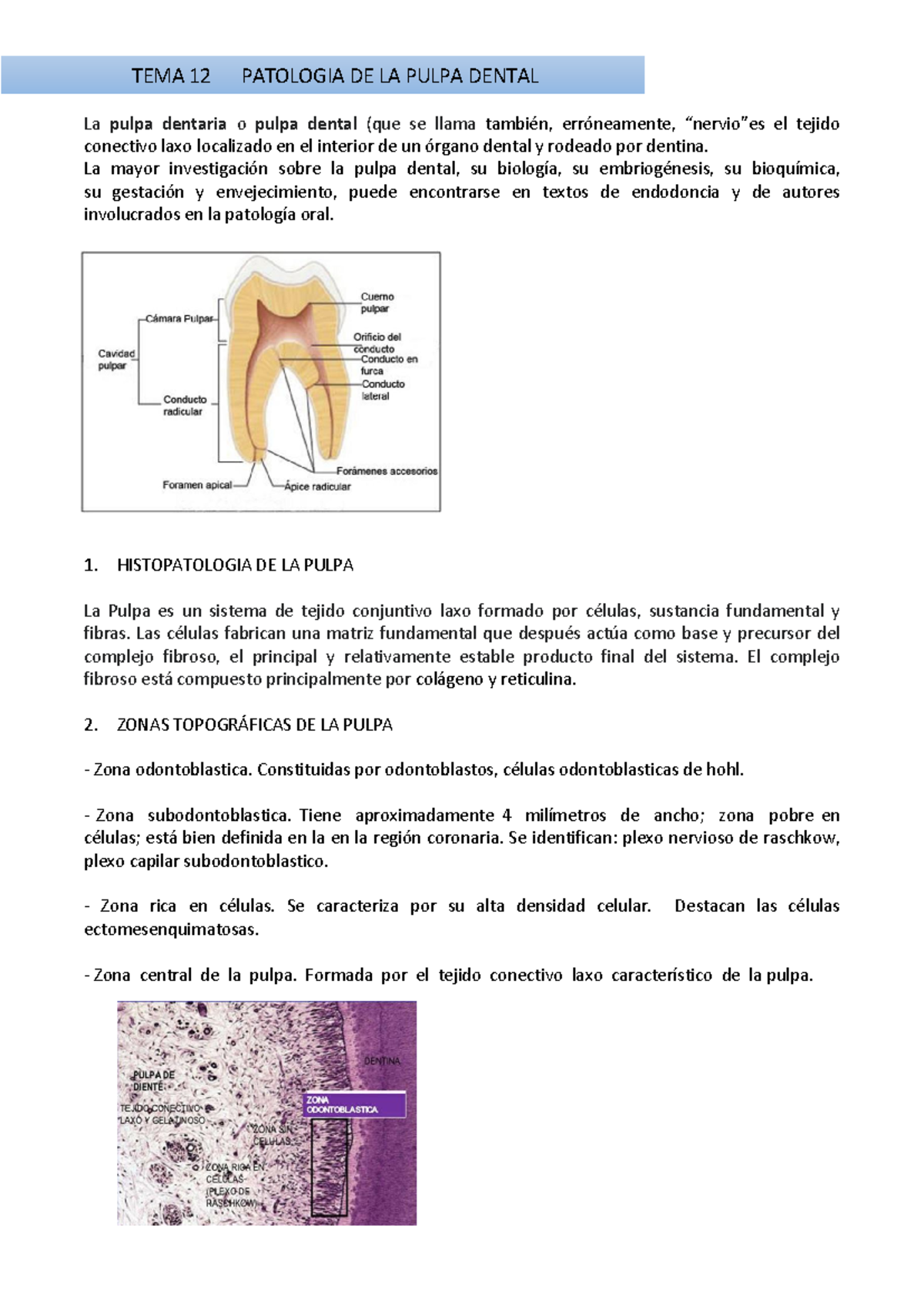 Patología de la pulpa dental: TEMA 12 de endodoncia y diagnóstico - Studocu