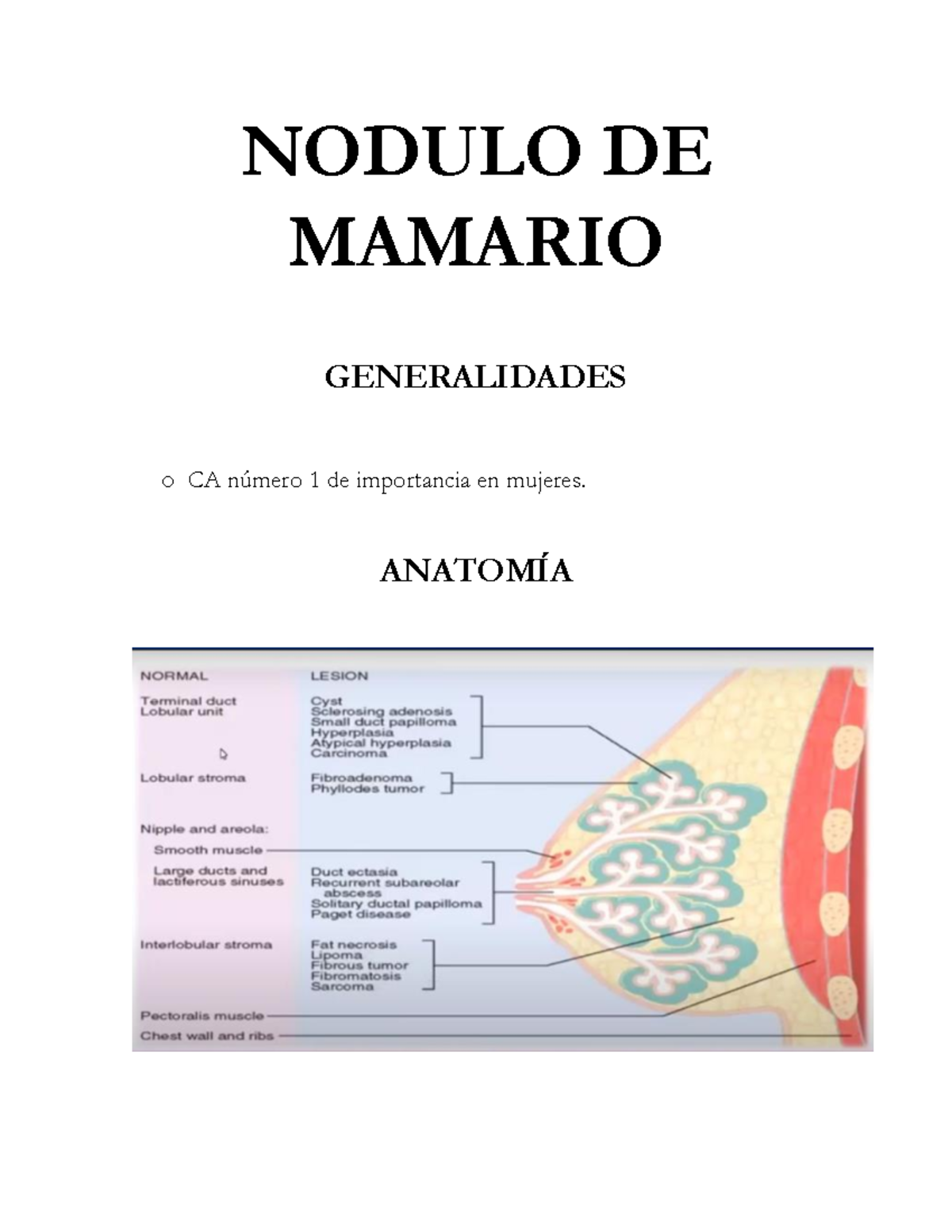 NODULO MAMARIO: GENERALIDADES Y DIAGNÓSTICO DE CA MAMA - Studocu
