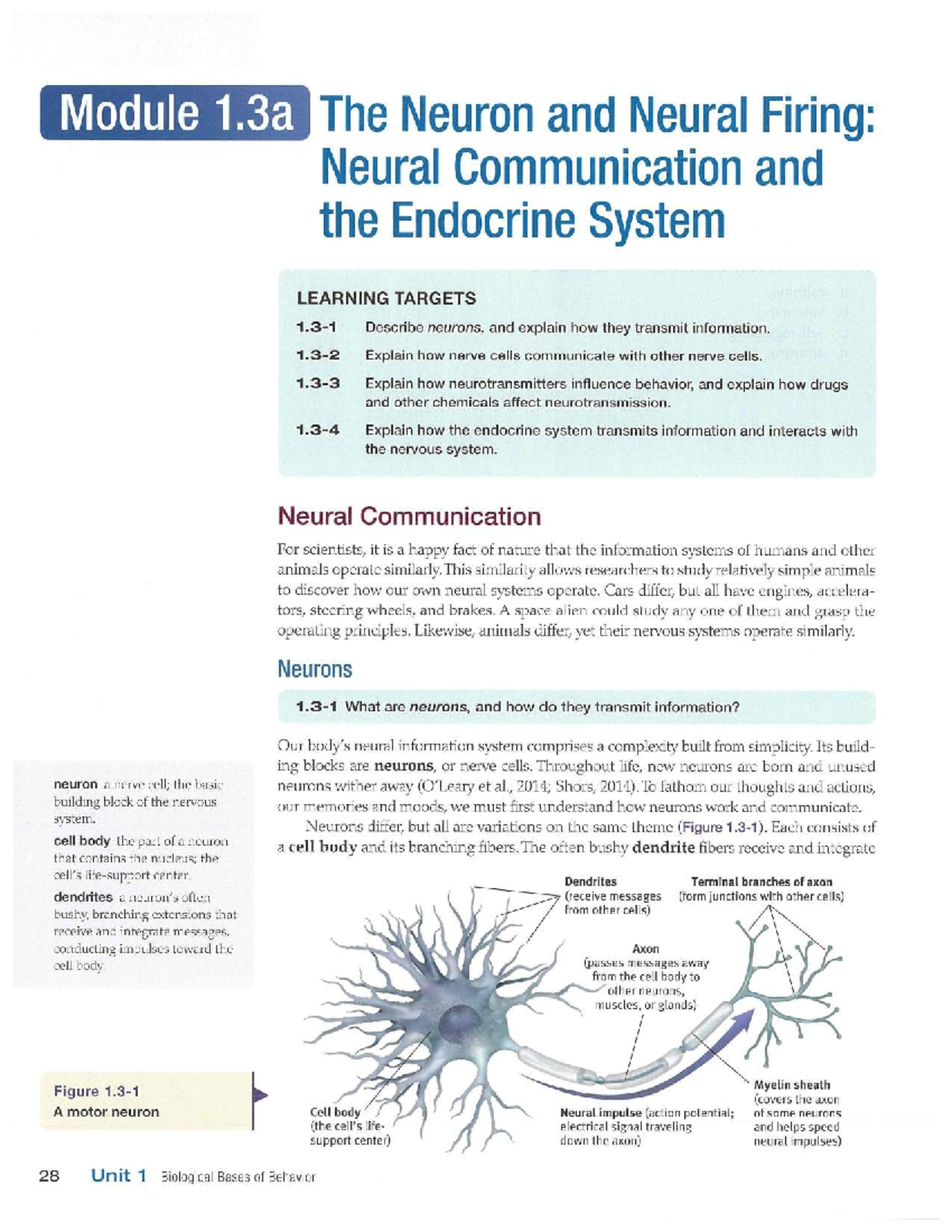 Psy 101: Module 1.3a Neural Communication and the Endocrine System ...