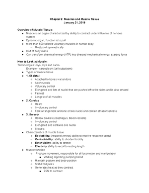Chapter 9: Muscle and Muscle Tissue Quiz Questions Anatomy and ...